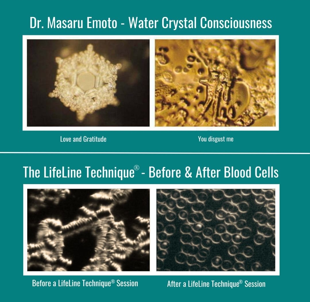 Lifeline Technique - Pro Touch Rehabilitation